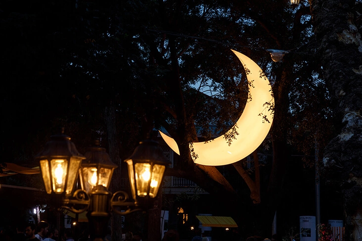 Projects | Dodo Designs