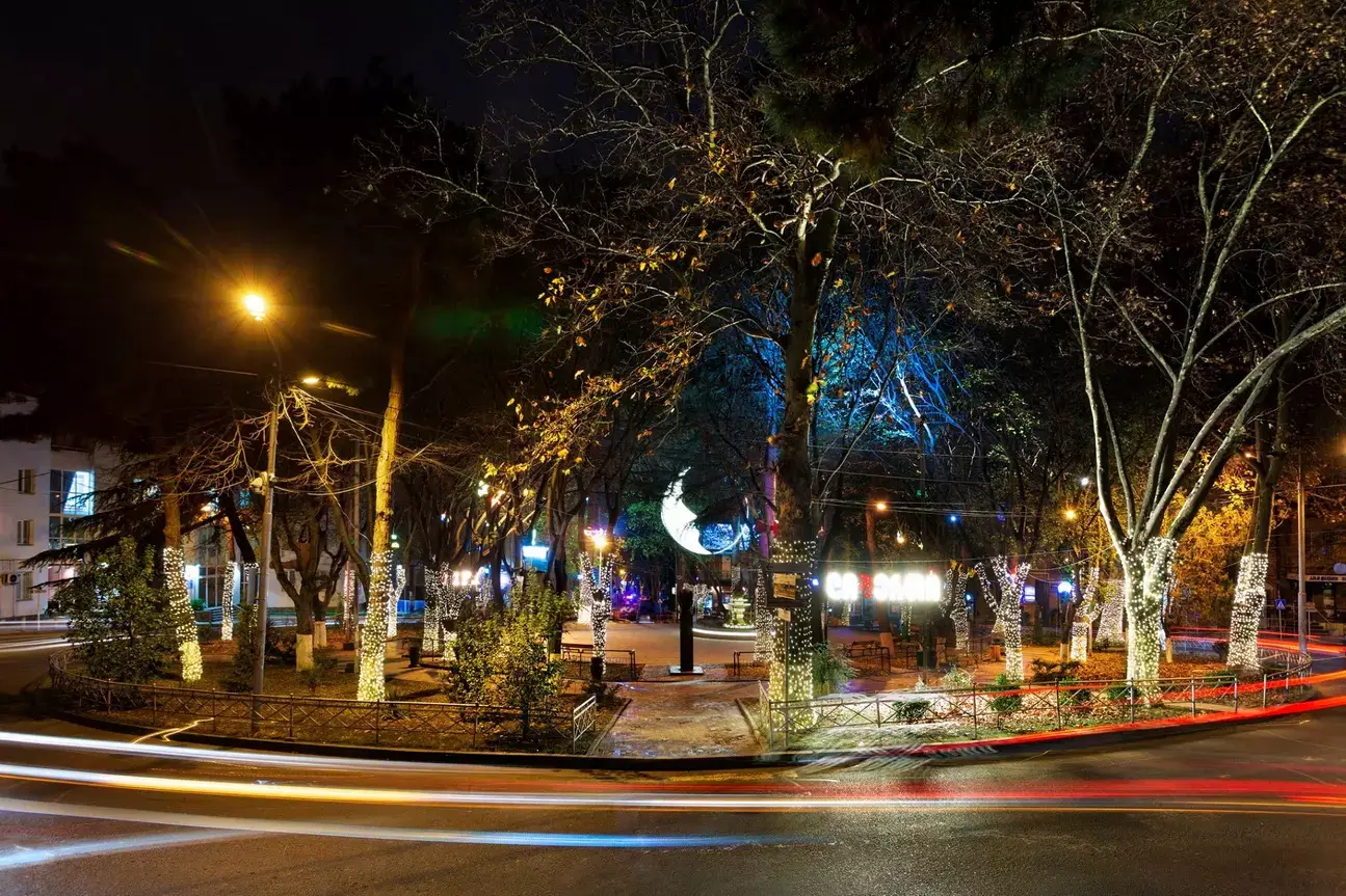 New Year Moon | Dodo Designs